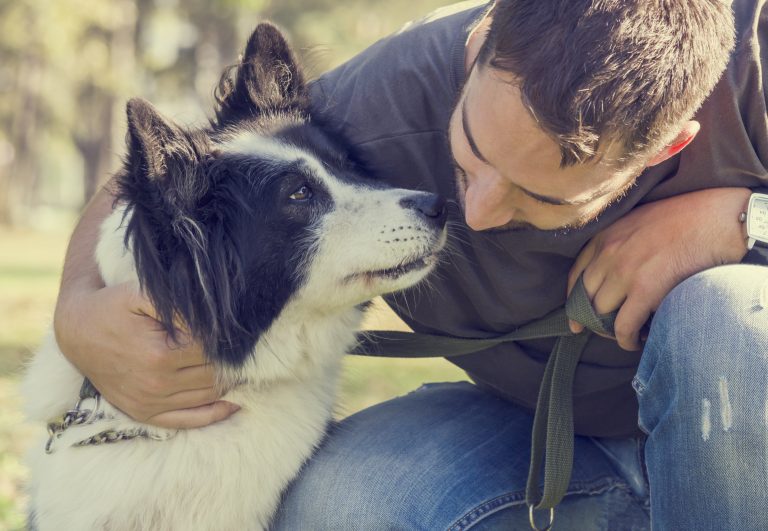 Oorproblemen bij honden - Voorkom problemen - Dier en Zorg Gids